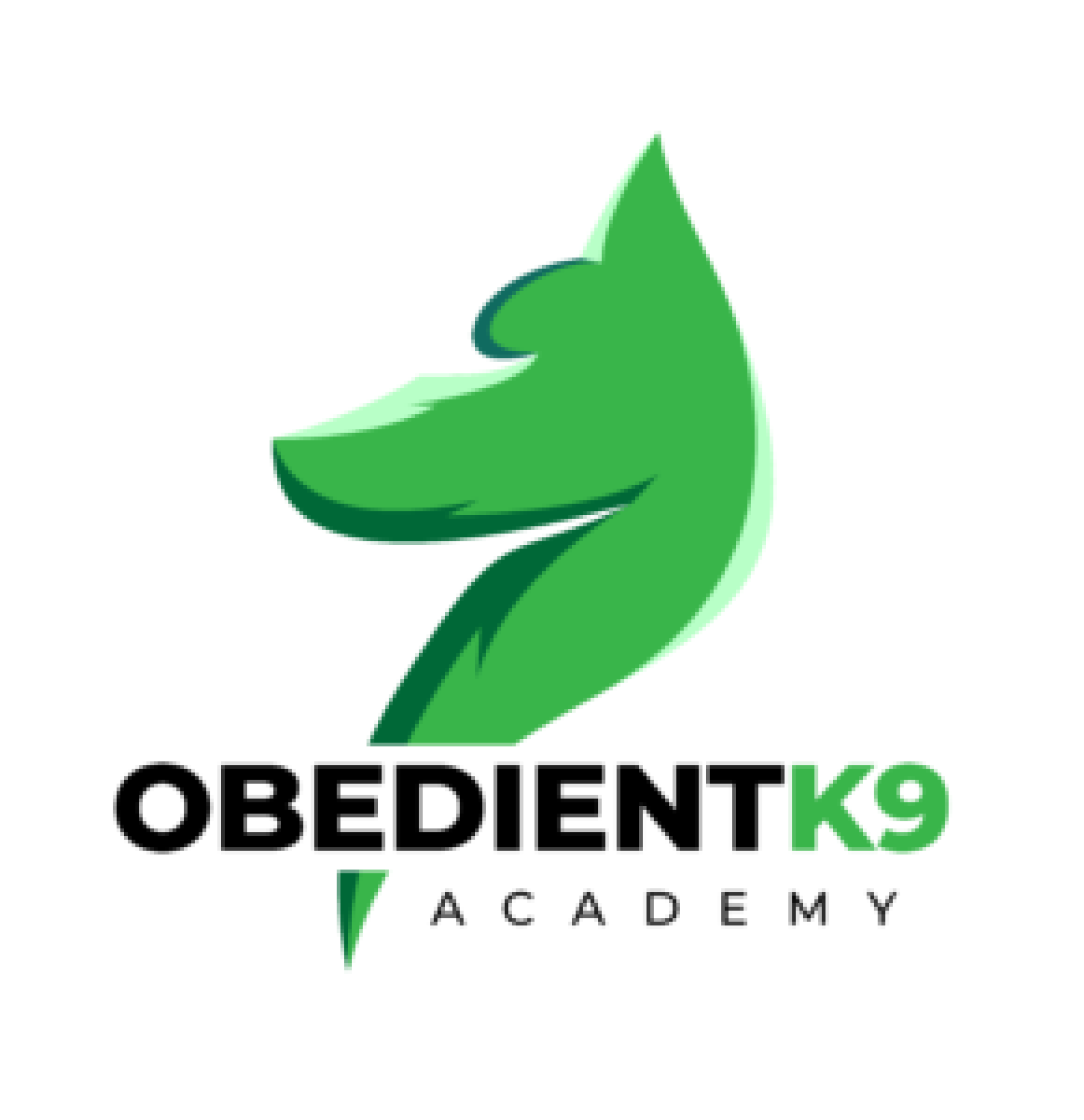 Obedient K9 Academy | Charlotte Dog Training - Obedient K9 Academy ...